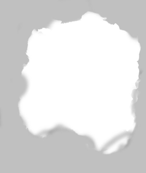 Duck Hunting | Duck Hunting | Guides | Arkansas | Canada